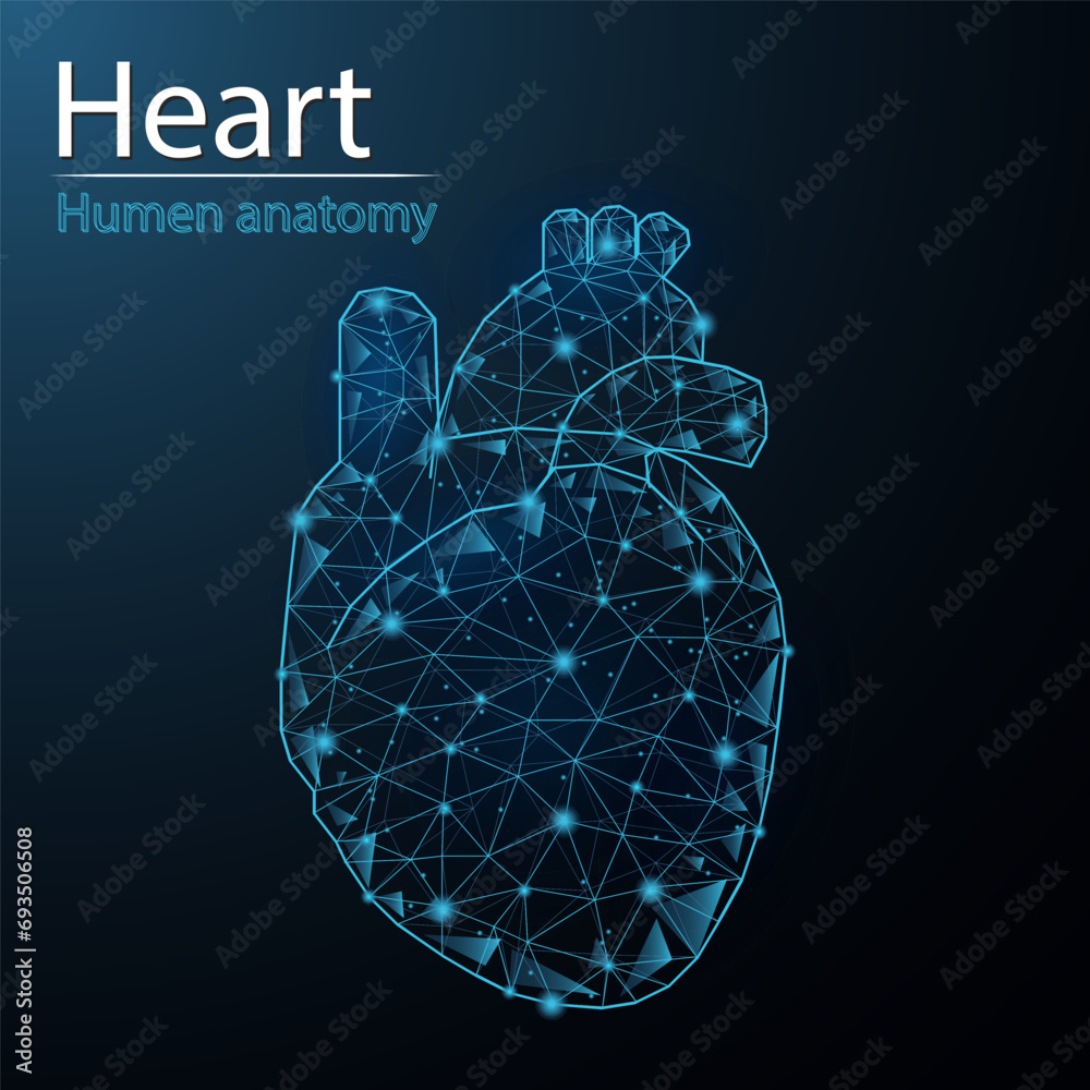 Human heart anatomy organ translucent low poly triangle futuristic ...