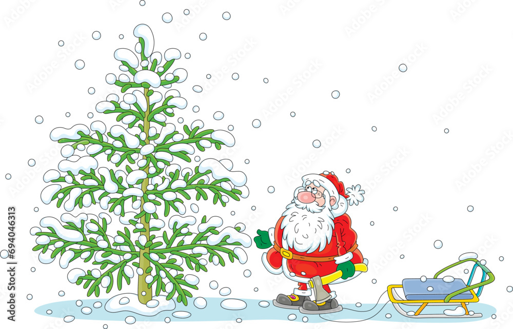 Funny puzzled Santa Claus with an ax and sleigh choosing a beautiful ...