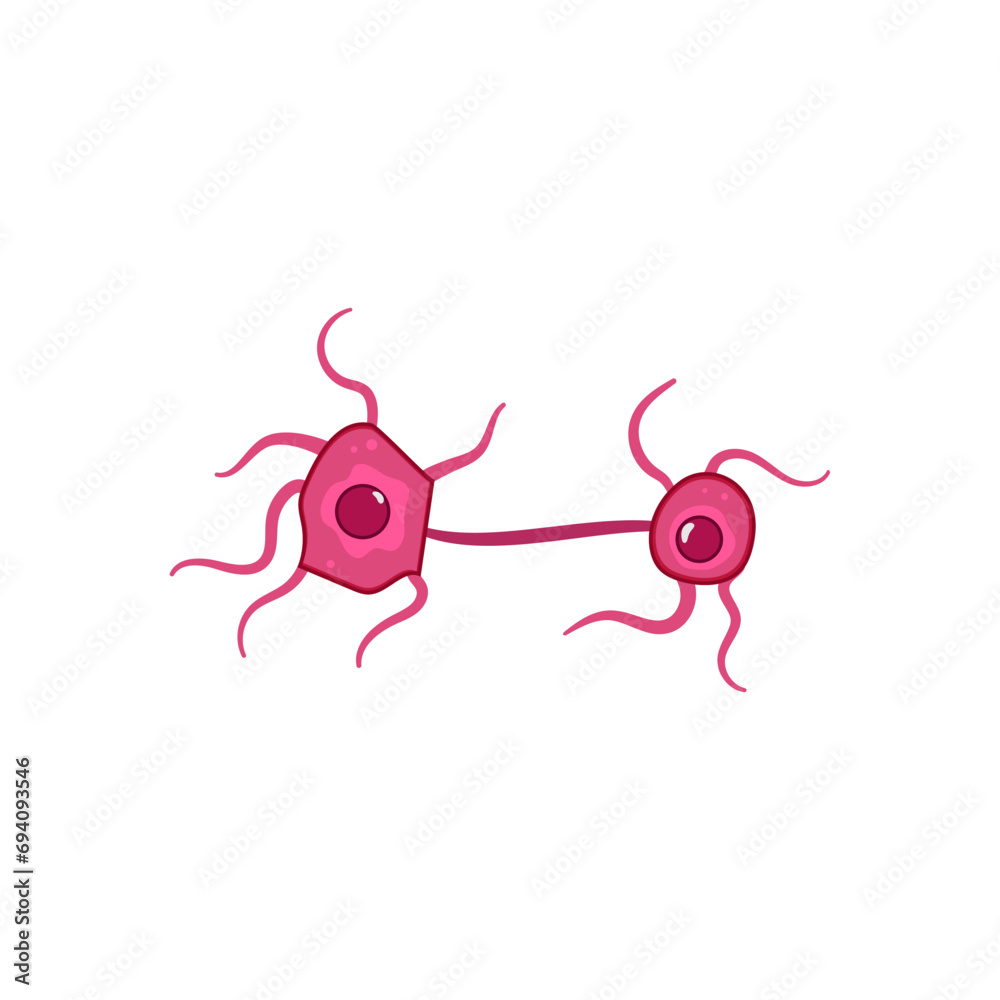 brain neurons cartoon. cell system, nerve synapse, structure human ...
