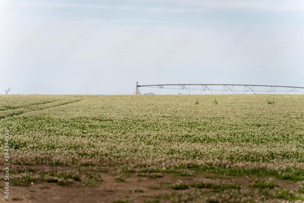 Agricultural pivot on a regenerative agriculture farm. Sustainable ...