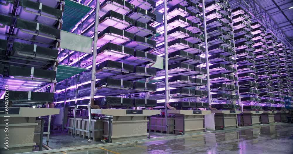 Vertical Farming Racks with Green Plants Growing in an Automated ...
