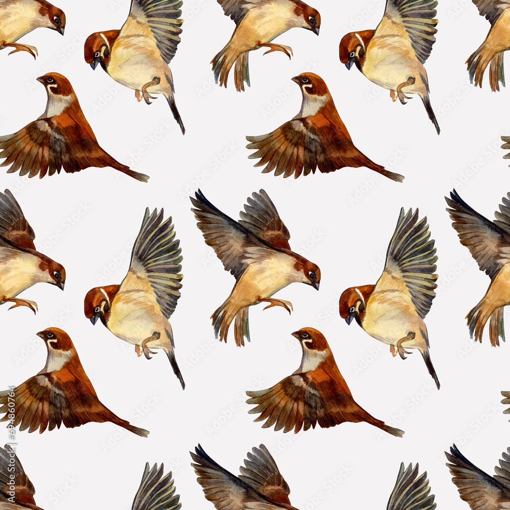 Seamless watercolor pattern with sparrows on a light background ...