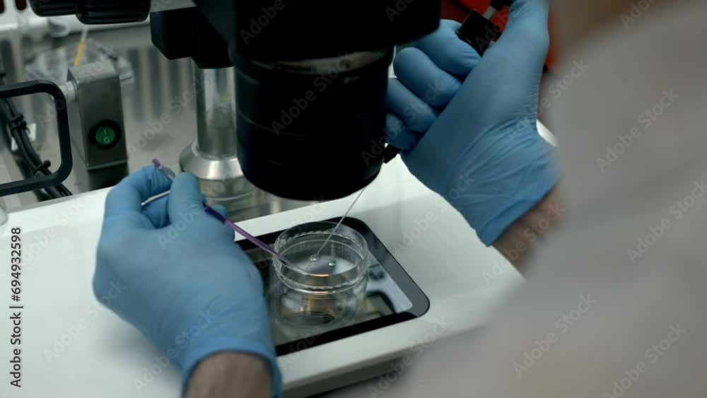 Diagnostic of the human embryo sample under the laboratory microscope ...