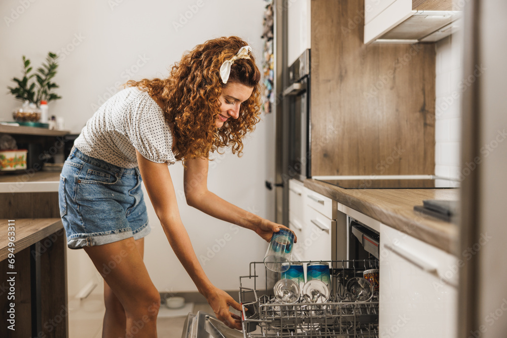 Poster The Dishwasher Is Every Homemaker's Best Friend – Wall Art ...