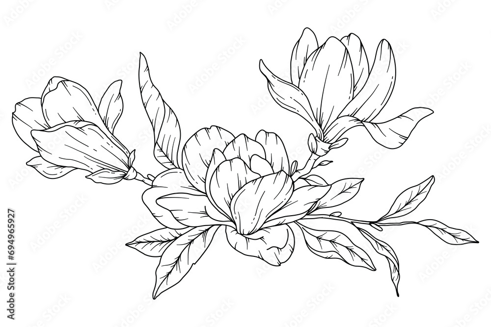 Magnolia Line Drawing. Black and white Floral Bouquets. Flower Coloring ...