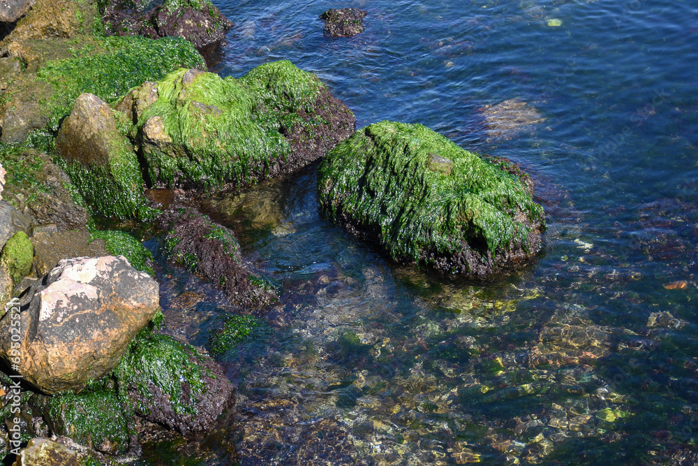 Rippling sea washing shore with small rocks covered with moss at sea ...