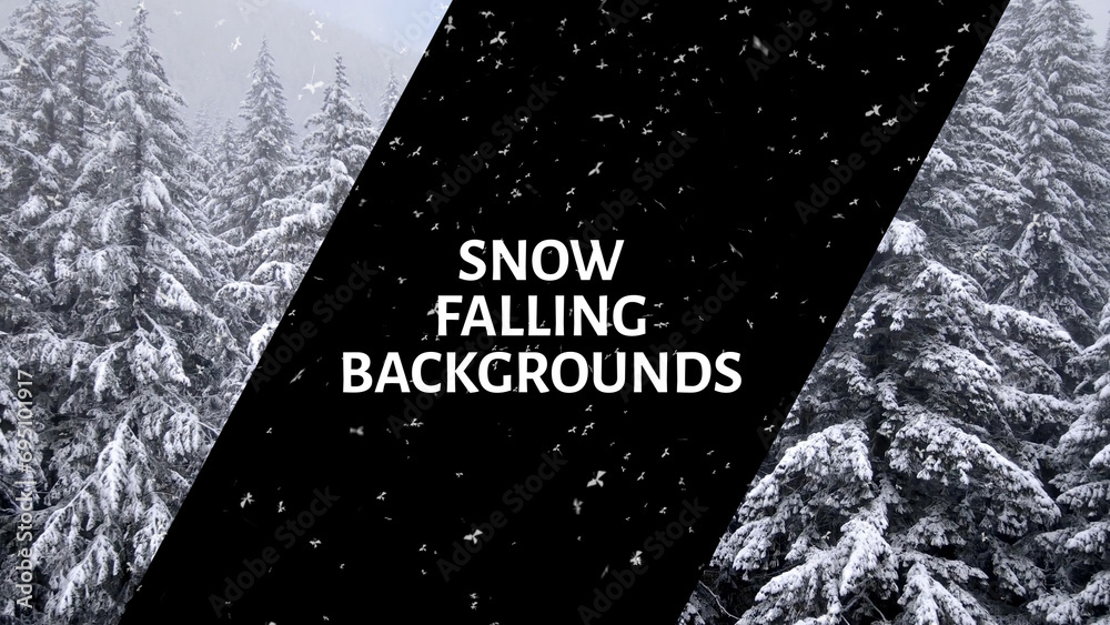 Snow Falling Backgrounds Stock Template | Adobe Stock