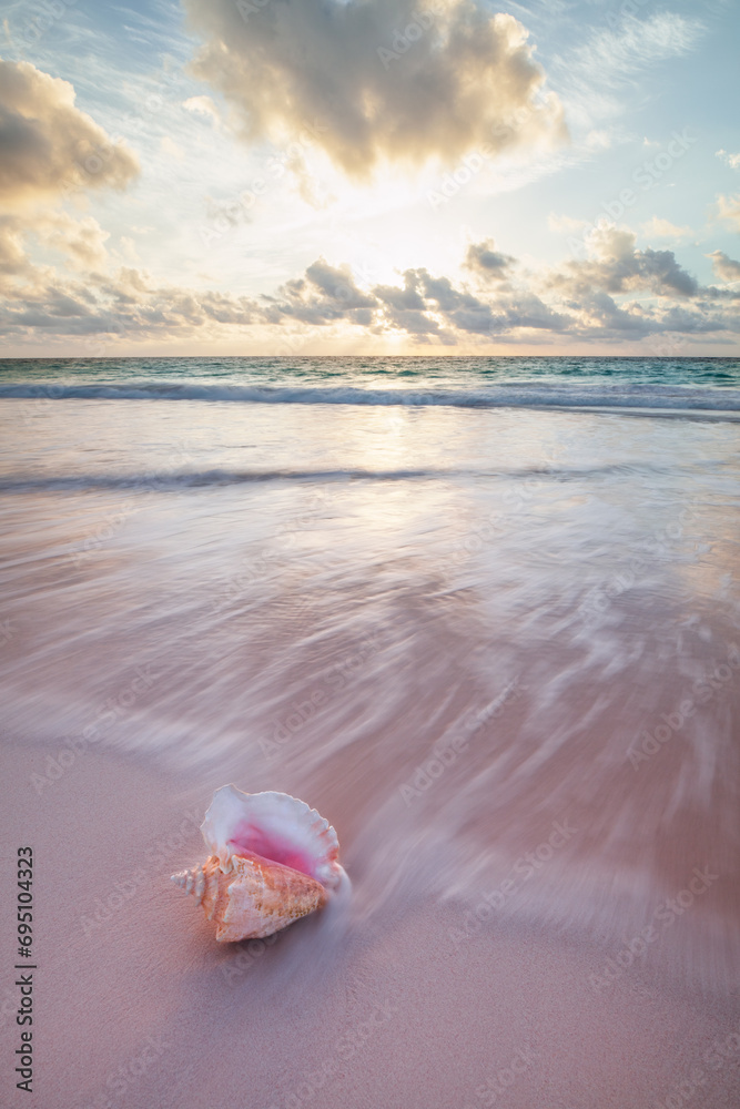 Pink conch seashell on pink sandy beach with waves in the Bahamas Stock ...