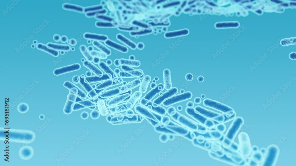 Enterobacteriaceae, gram-negative rod-shaped bacteria, part of ...