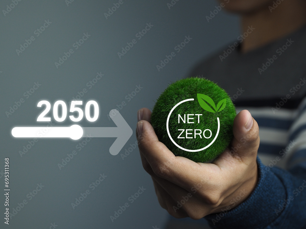 Poster The state transitions towards 2050 towards net zero, carbon ...