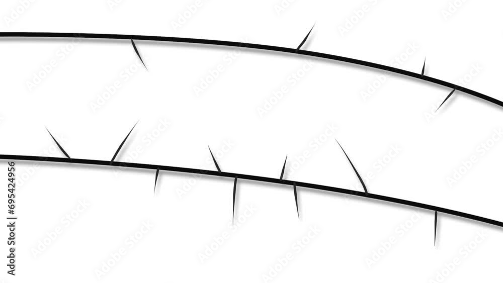 Barbed wire or thin branches of a plant with needles or thorns and a ...