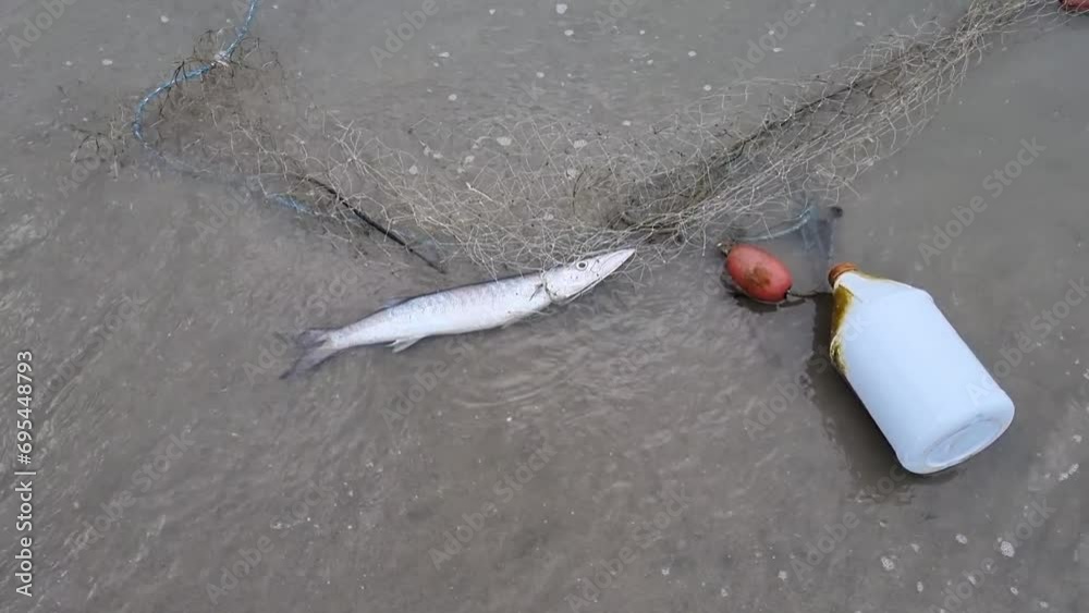 Vidéo Stock Un Pez Muerto Enredado En Una Red De Pesca Rodeado De