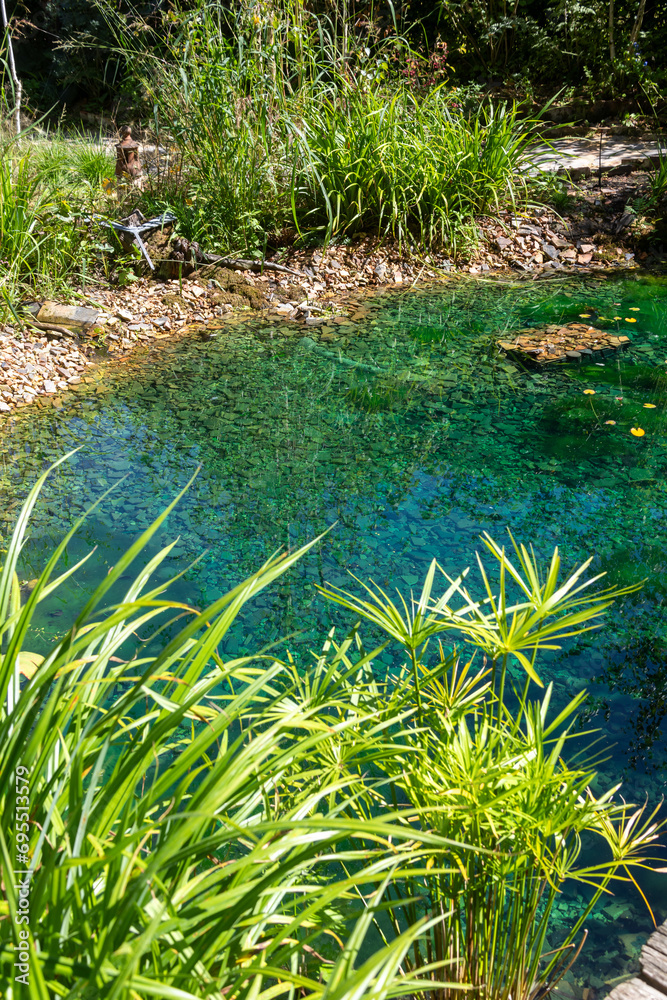 Ecosystème et zone humide - création d'une mare entourée de plantes ...