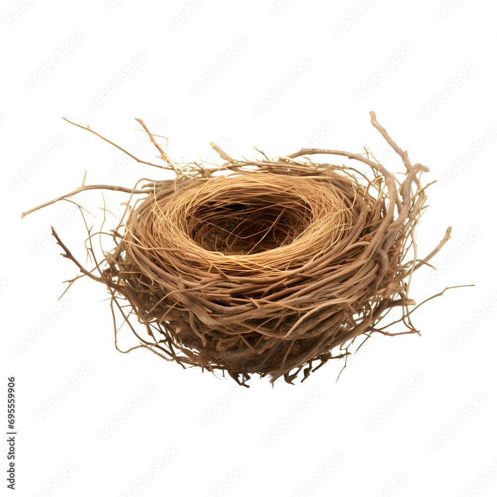 empty bird nest isolated on transparent background, cut out, png Stock ...