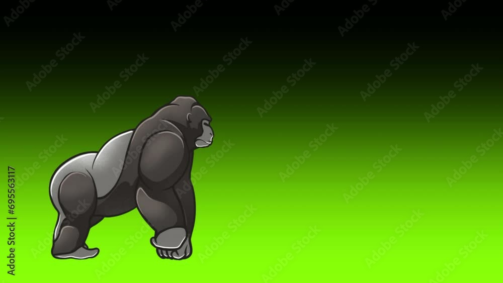 Cartoon Gorilla walking 2d animation with green screen background ...