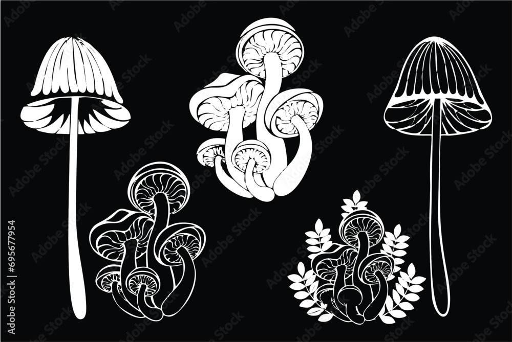 Mystical mushrooms set, magic fantasy mushroom clip art, witchcraft ...