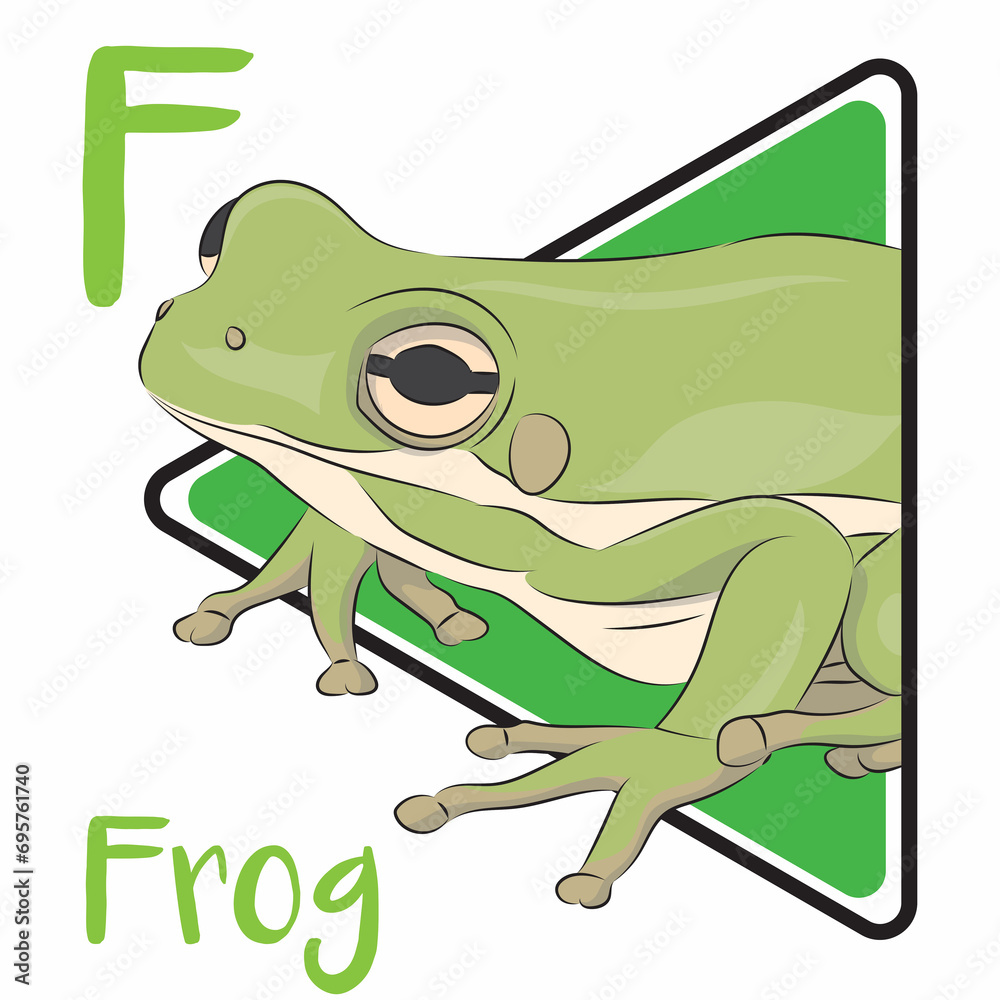 Frogs are the most well-known amphibians. They have protruding eyes, no ...
