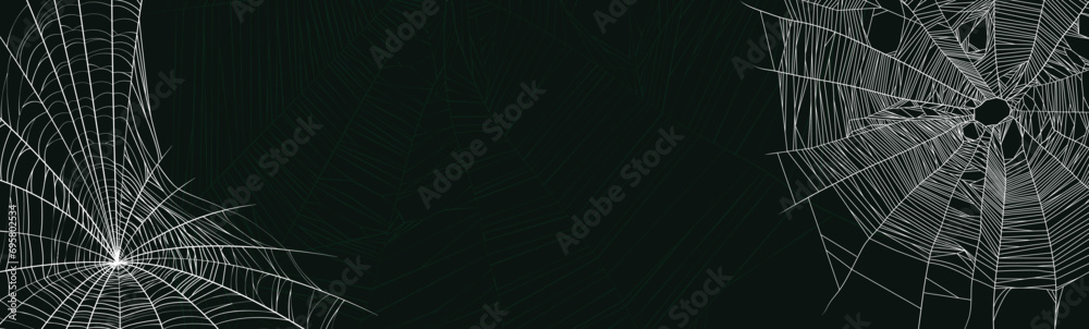 spider web background design. Vector background design with set of ...