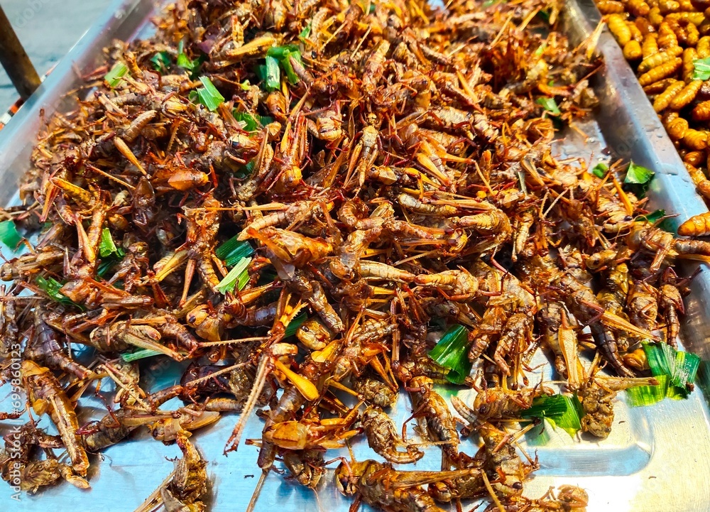 fried grasshopper or belalang goreng is traditional food from southeast ...
