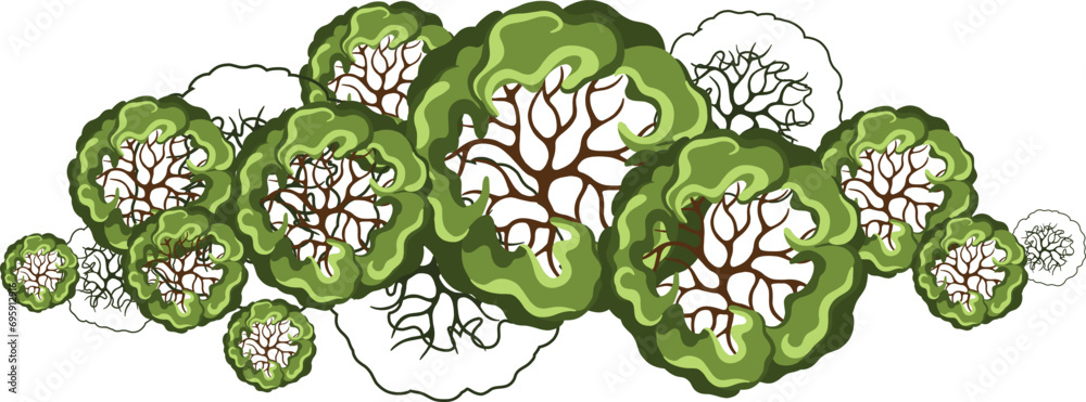 Group of trees for architectural floor plans. Entourage design. Various ...