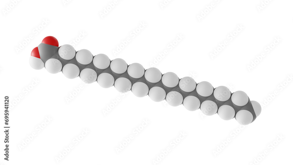 lignoceric acid molecule, saturated fatty acid, molecular structure ...