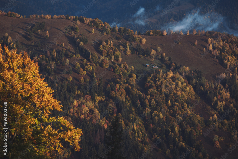 Mountains forest landscape. temperate broadleaf and mixed forest with ...