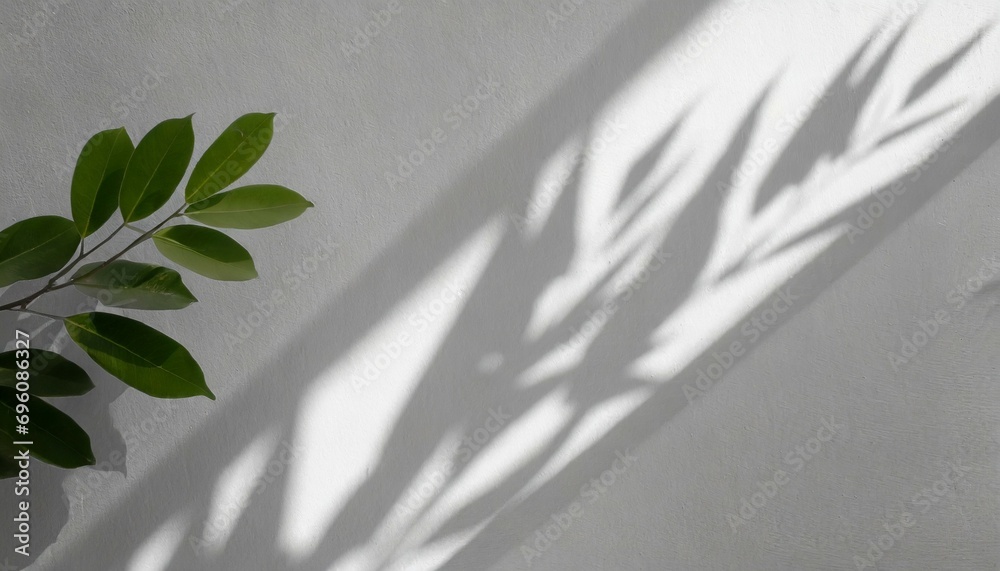 light and shadow of leaf abstract grey background natural shadows and ...