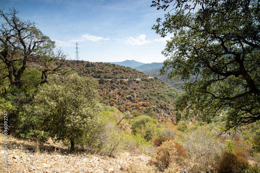 Foto de Paysage vallonné avec une route qui passe à flanc de colline ...
