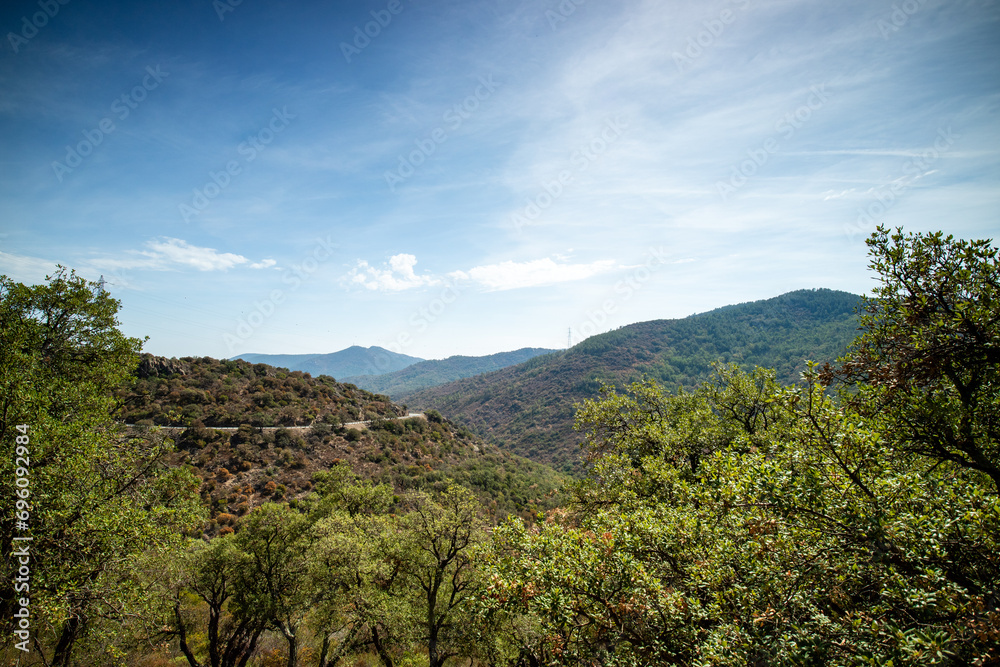 Paysage vallonné avec une route qui passe à flanc de colline dans le ...