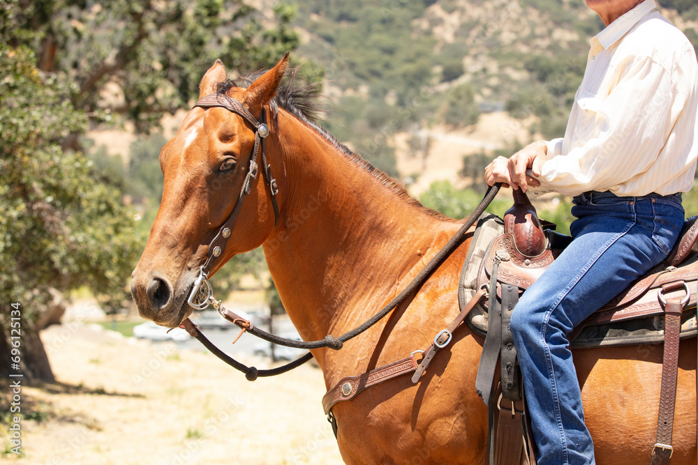 A horse and male rider. The horse expression tells it all. It's all ...