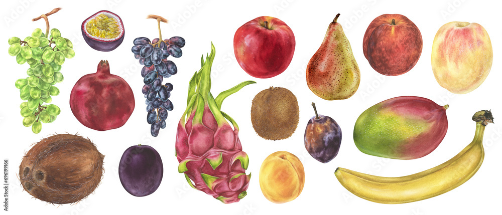 Fruits Set Watercolor illustration. Hand drawn botanical clip art ...