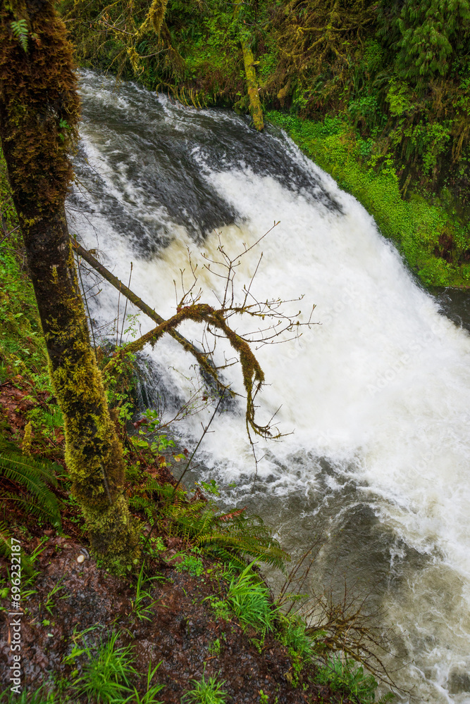 Drake Falls at Silver Falls State Park, the largest state park in ...