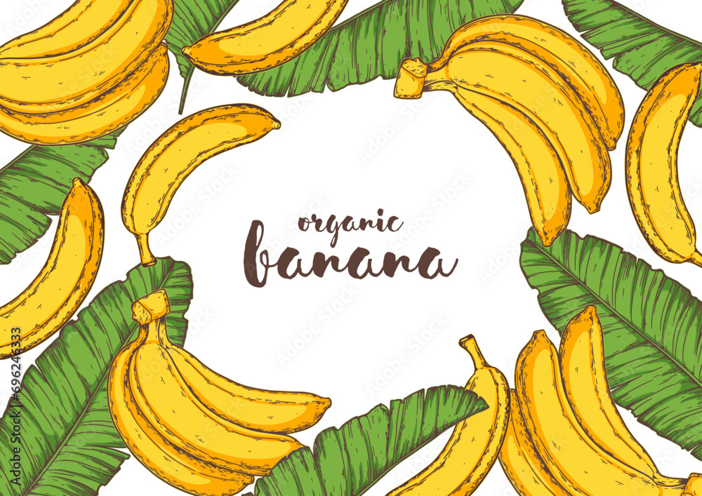 Ripe banana frame. Hand drawn vector illustration. Tropical fruit ...