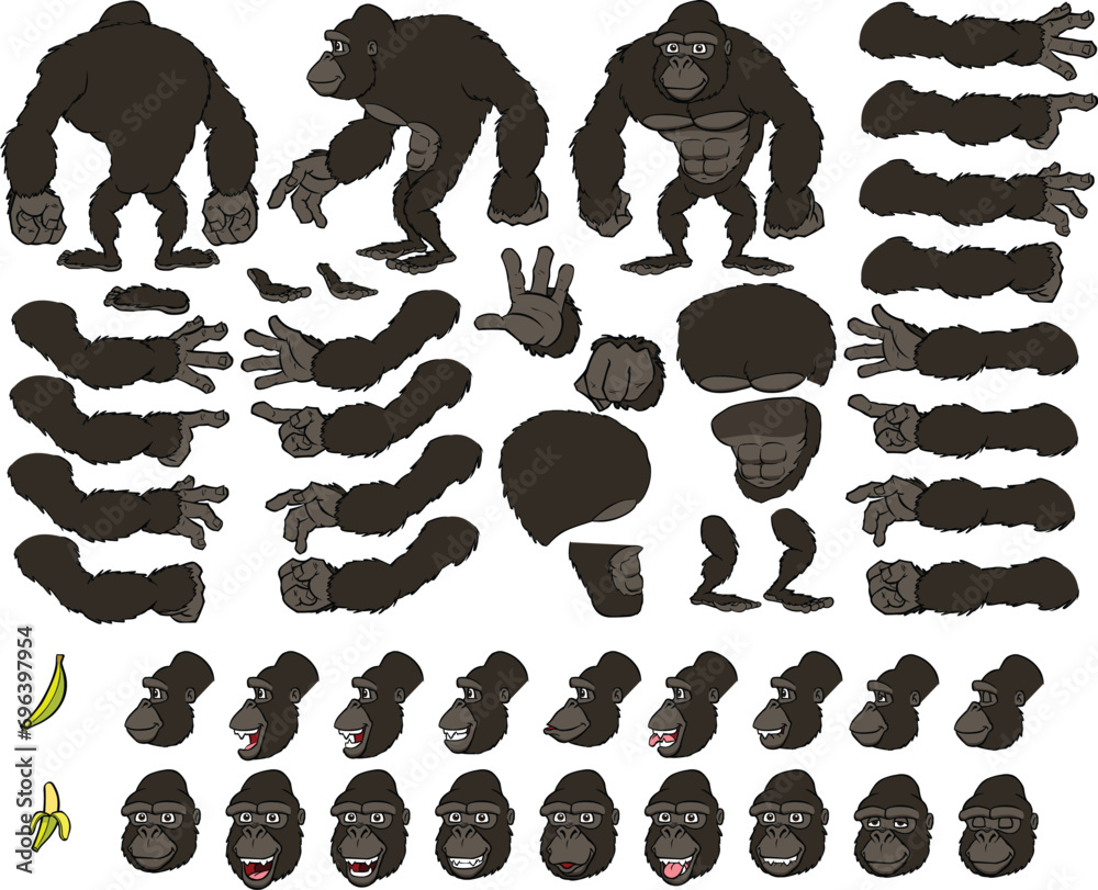 Vector cartoon style gorilla character for animation. Different ...