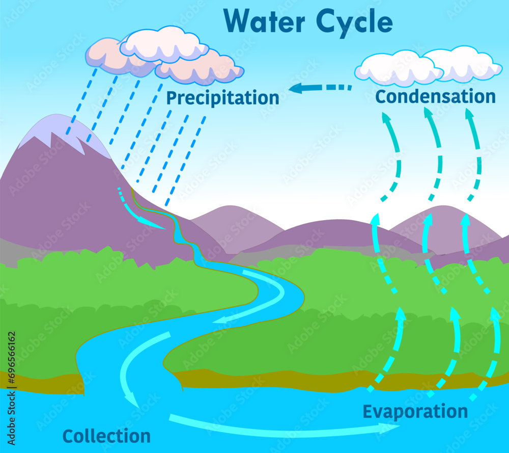 Water hydrologic cycle steps. Evaporation, transpiration, condensation ...