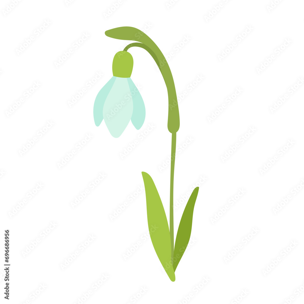 January birth month flower snowdrop flat cartoon vector illustration ...