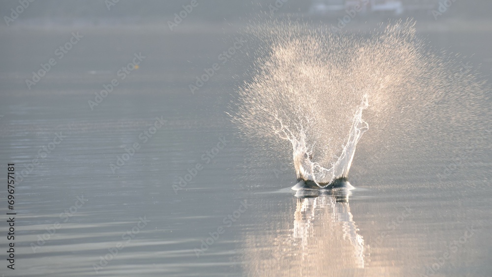 Splashing water, exploding water, impacting water, stooping in water ...