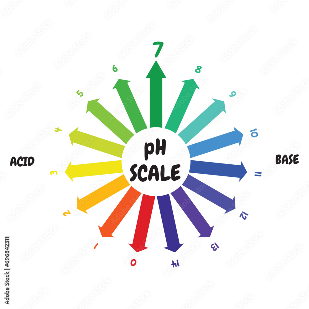pH value scale chart for acid and alkaline solutions, acid-base balance infographic, vector ...