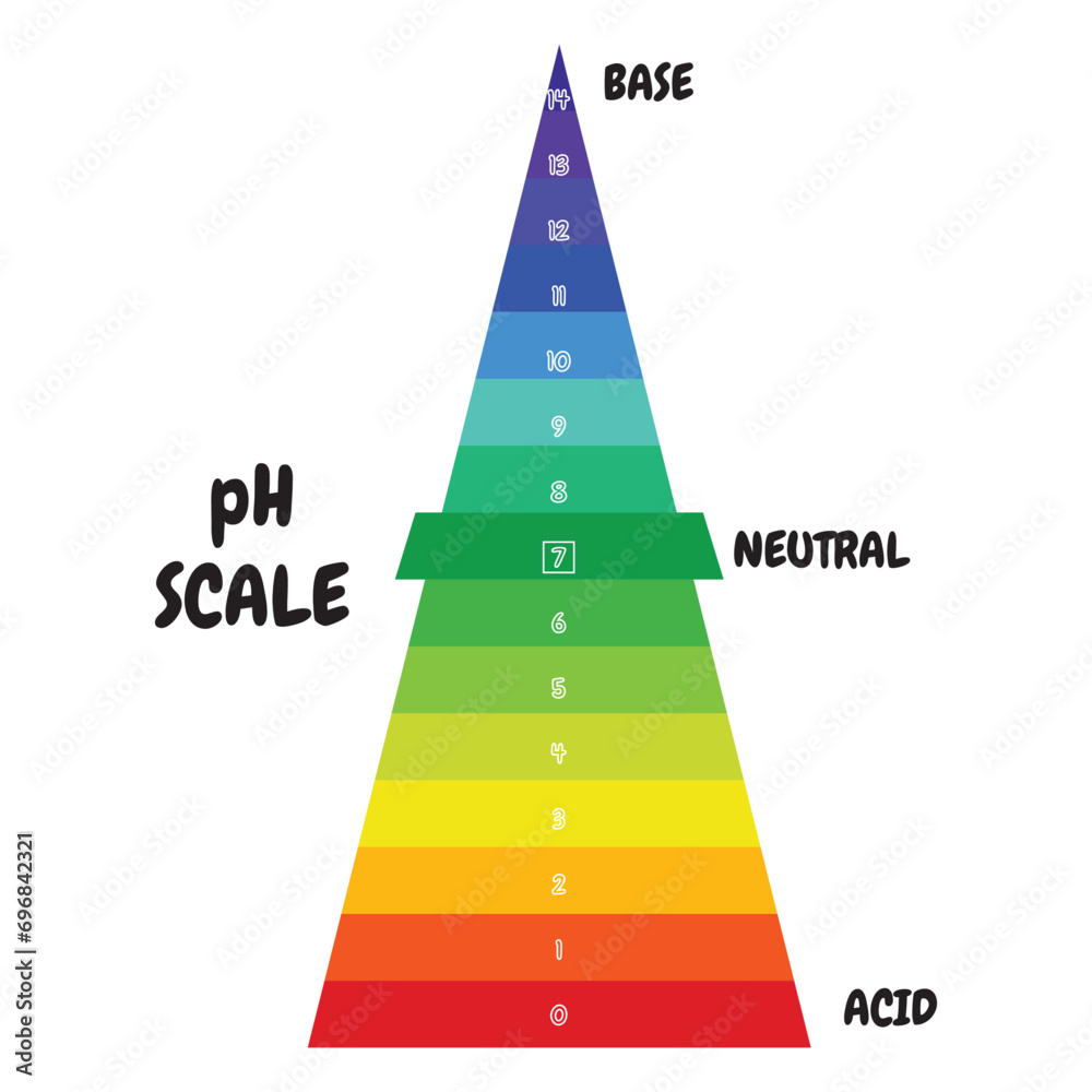 pH value scale chart for acid and alkaline solutions, acid-base balance infographic, vector ...