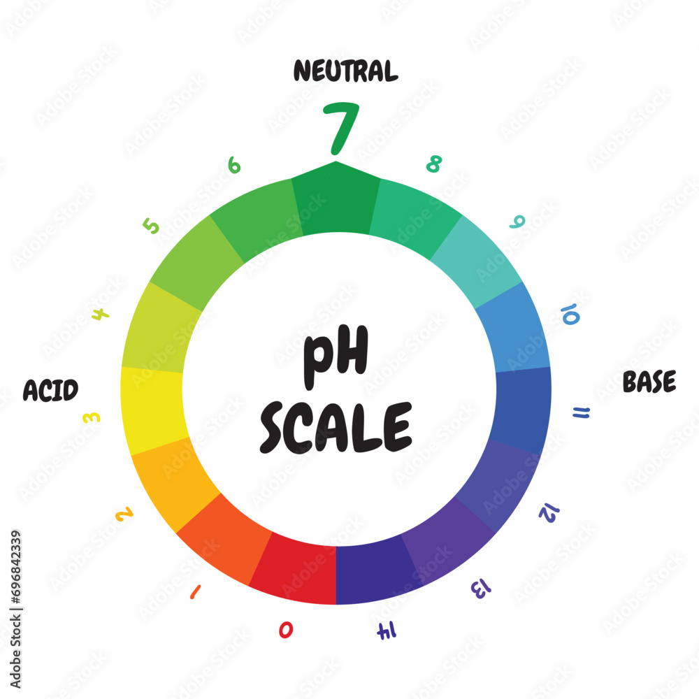 pH value scale chart for acid and alkaline solutions, acid-base balance infographic, vector ...