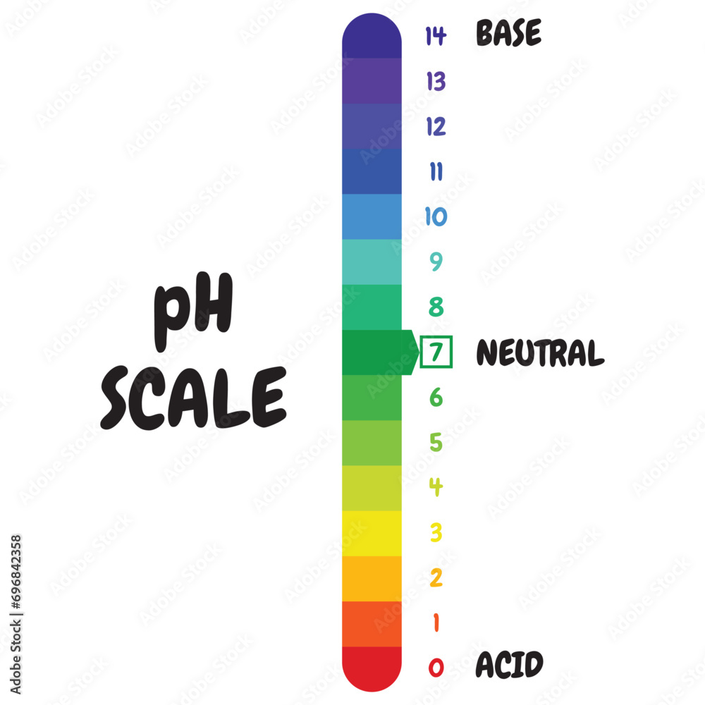 Poster pH value scale chart for acid and alkaline solutions, acid-base balance infographic ...