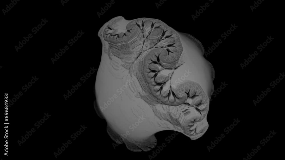 3d Monochrome Black And White Abstract Art Video Animation Based On