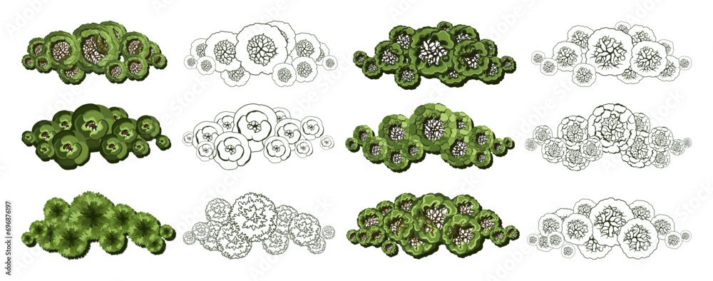 Tree for architectural floor plans. Entourage design. Various trees ...