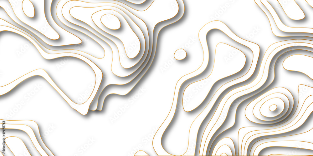 Abstract white background with golden gradient Topographic line map and ...