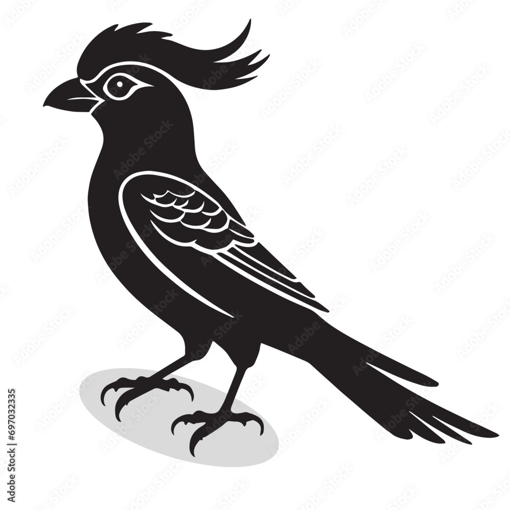 Quetzal silhouettes and icons. Black flat color simple elegant white ...