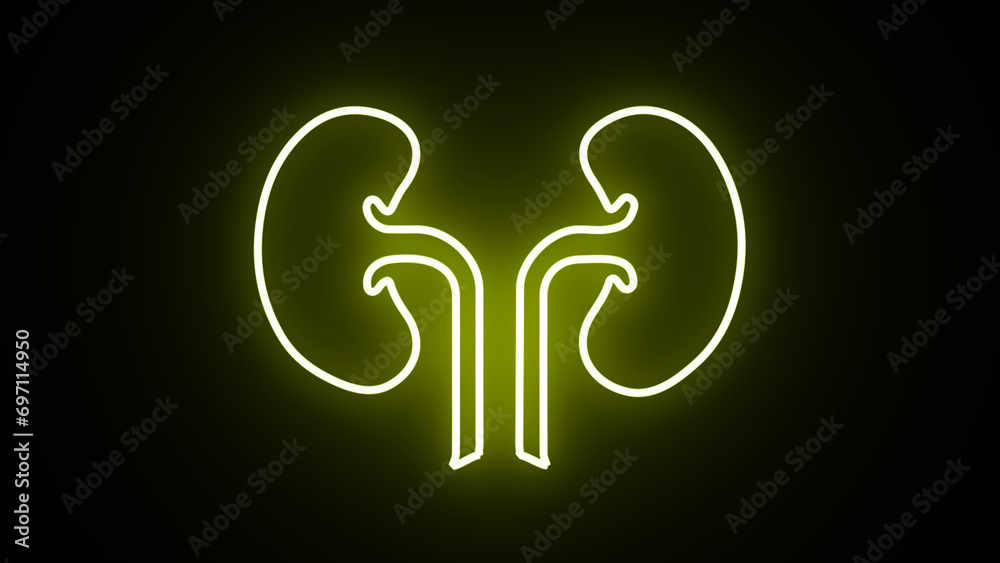 Glowing neon line Human kidney icon isolated on black background. neon ...