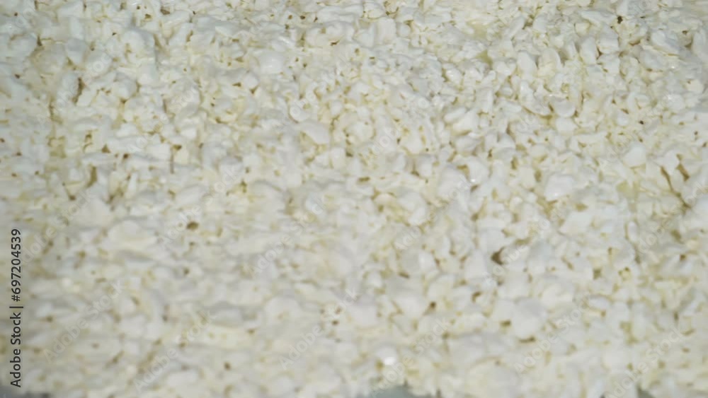Vidéo Stock Close Up Of Cottage Cheese On Processing Line Conveyor ...