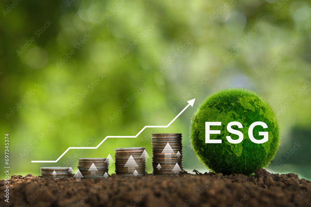 ESG. environment, society and governance Ideas for investing in green ...