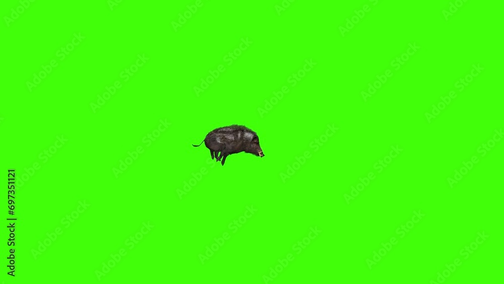 Vidéo Stock Wild Boar is Running one side to the second side, 3D 4k ...
