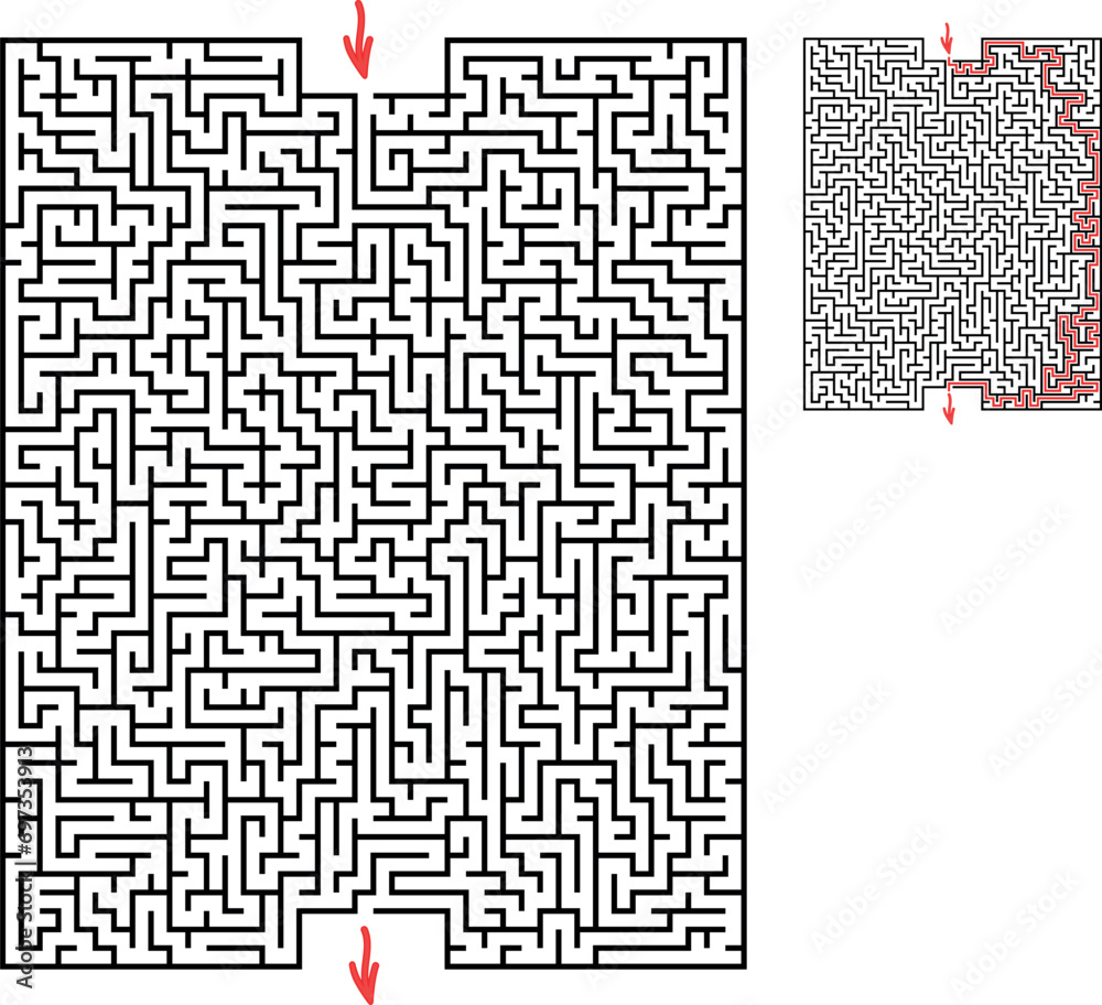 Vector rectangular labyrinth with entry and exit. Difficulty level - hard. Maze with solution ...